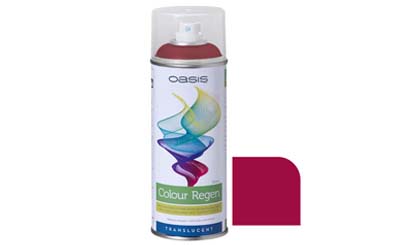 Jacobson Floral - Color Regen Cranberry Rose