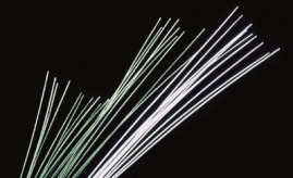 Jacobson Floral - Flocked Wire 24" Green