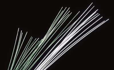 Jacobson Floral - Flocked Wire 24" Green